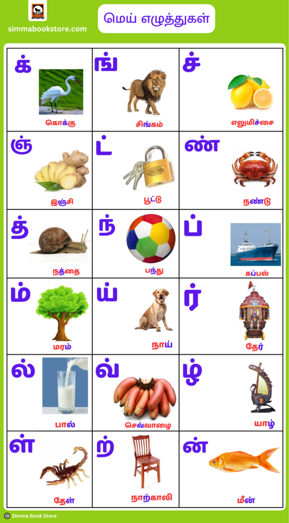 Mei Eluthukkal in Tamil | மெய் எழுத்துக்கள் | Tamil Charts