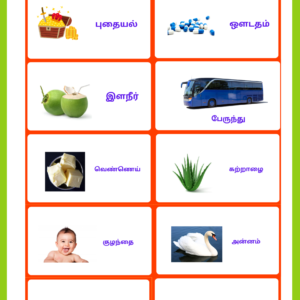 Three Letter Words in Tamil | மூன்று எழுத்து சொற்கள்