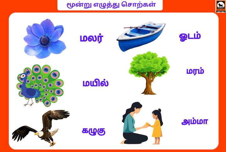 Three Letter Words in Tamil | மூன்று எழுத்து சொற்கள்