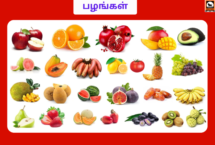 Fruits in Tamil | Fruits Name in Tamil | பழங்கள் | Fruits Chart