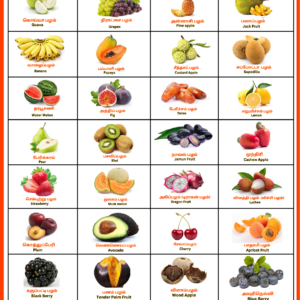 Fruits Chart in Tamil, English and Hindi | Read Fruits Name in Tamil