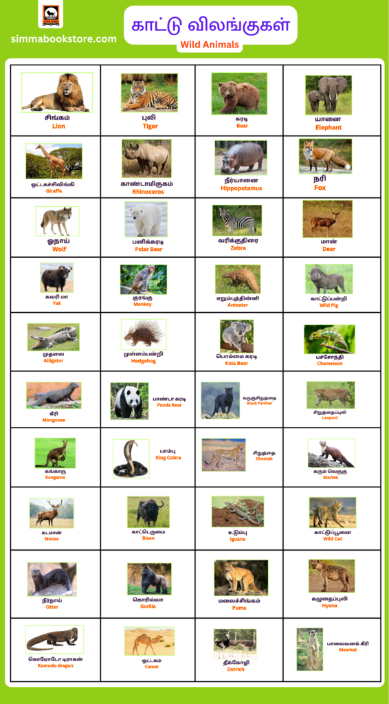 Wild Animals in Tamil | காட்டு விலங்குகள் | Wild Animals Chart