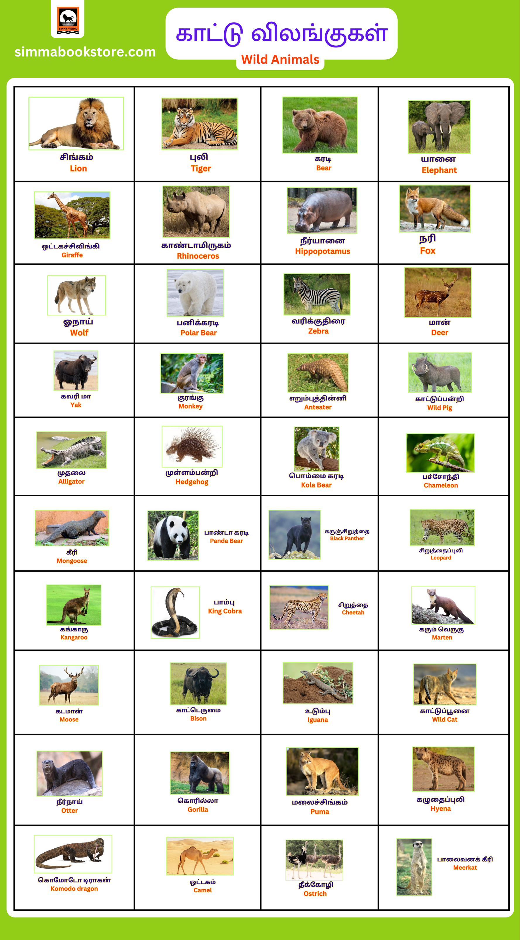 Wild Animals in Tamil | காட்டு விலங்குகள் | Wild Animals Chart