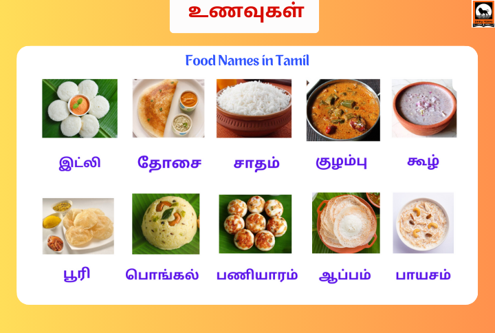 Foods in Tamil | உணவுகள் | Food Names | Tamil Foods |Aappam