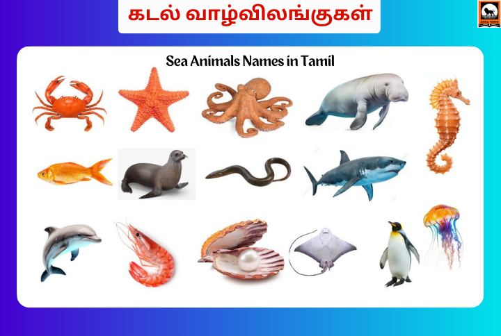 Sea Animals Names in Tamil | கடல் வாழ்விலங்குகள்