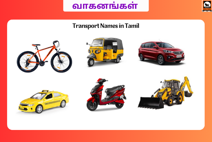 Transports Names in Tamil | போக்குவரத்து வாகனங்கள்